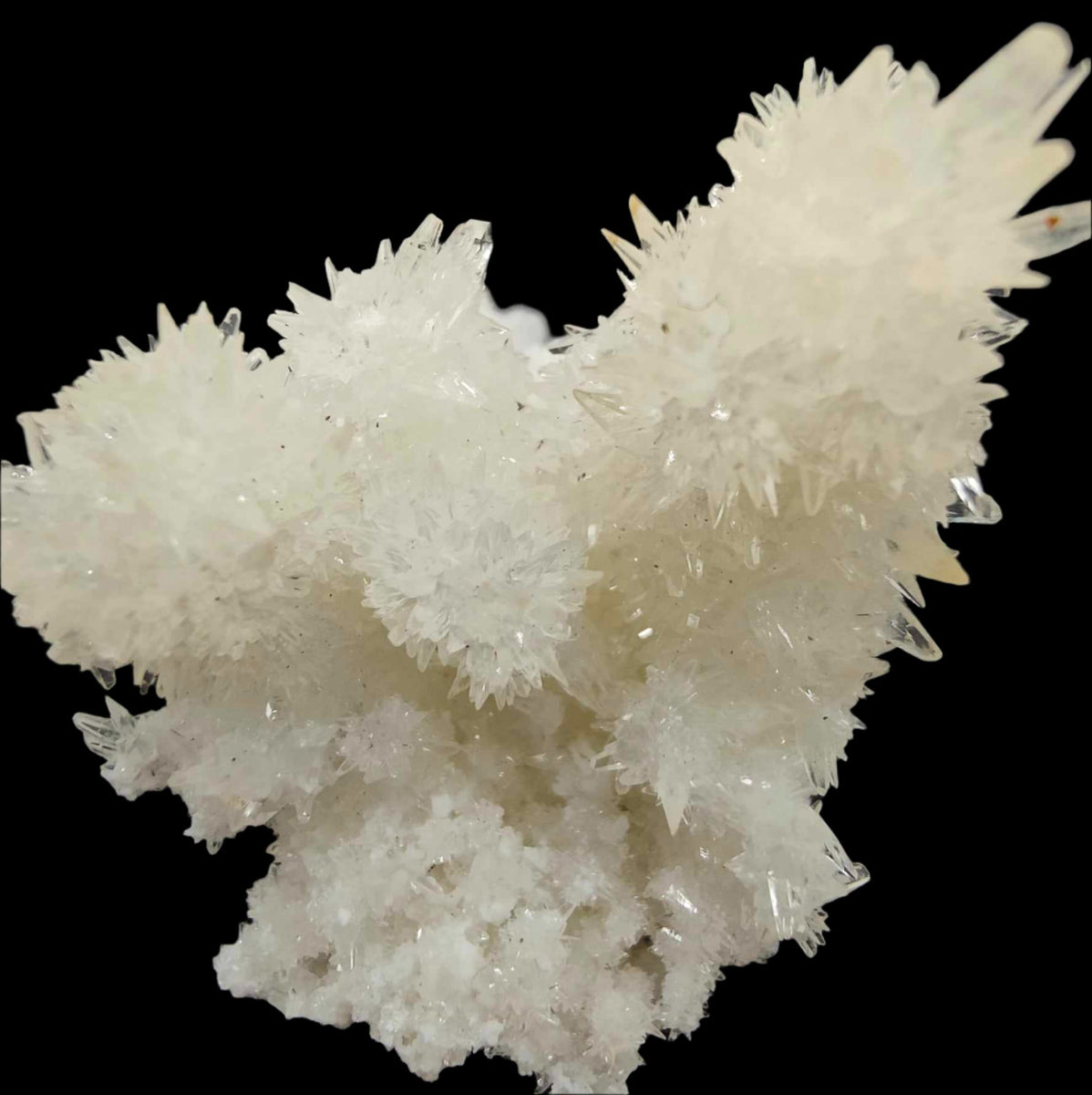 Yellow Aragonite Specimen # 163 – Crystal Addictions